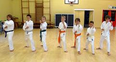 A guide to Karate – Beemat